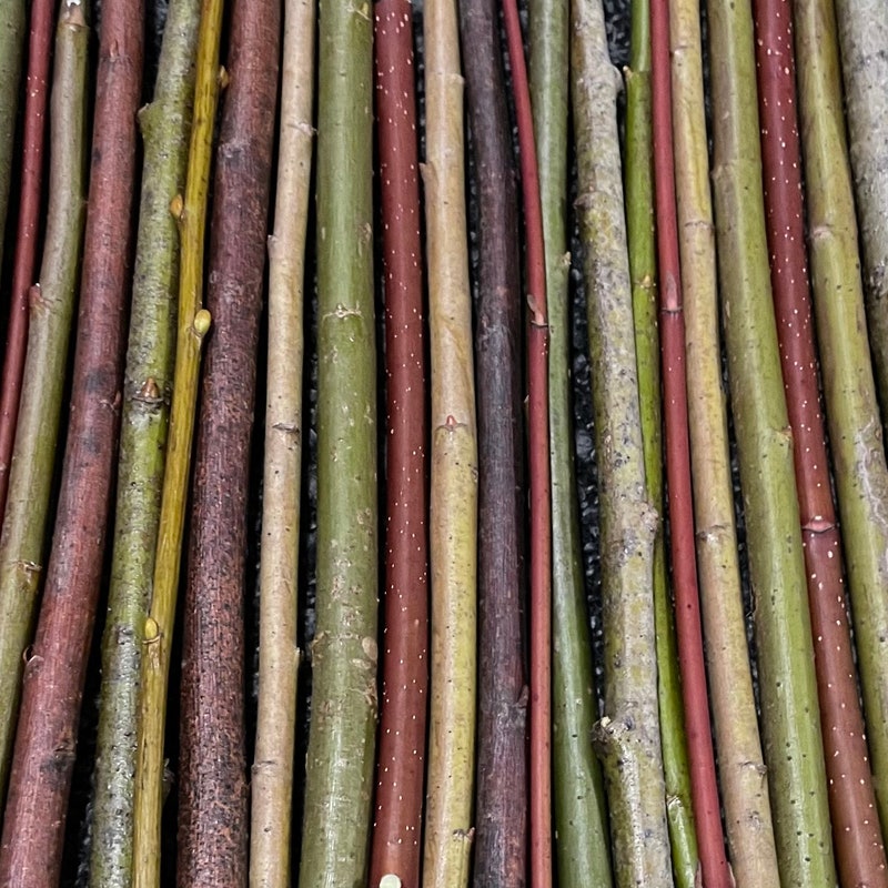 Rods Tree and Landscaping - Etsy