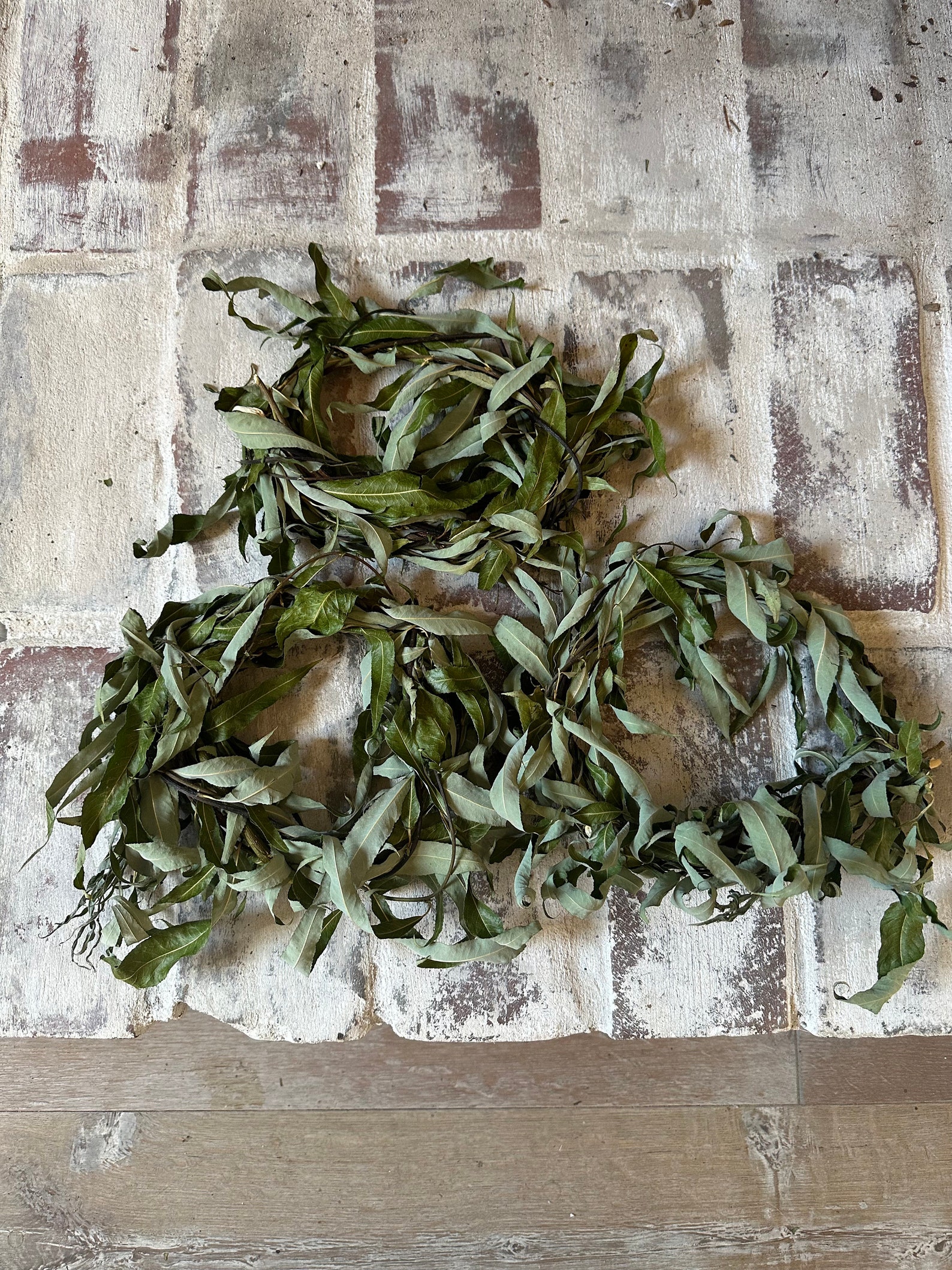 Organic Weeping Willow Wreaths Bunny Rabbit Food Pet Treat Branches ...