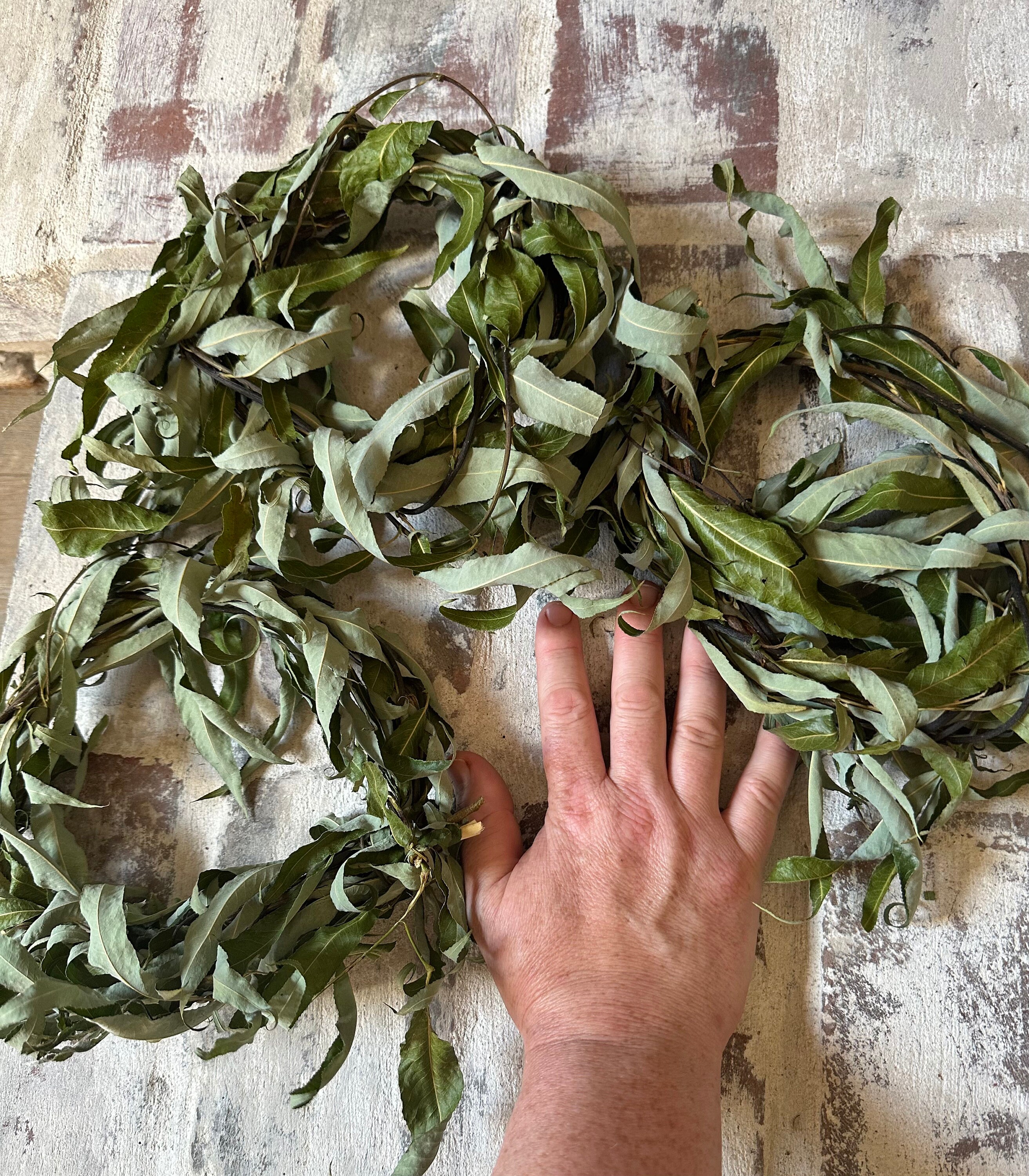 Organic Weeping Willow Wreaths Bunny Rabbit Food Pet Treat Branches ...