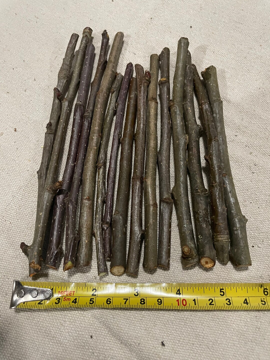 Organic Washington Apple & Plum Tree Wood Sticks Twigs Fresh Natural ...