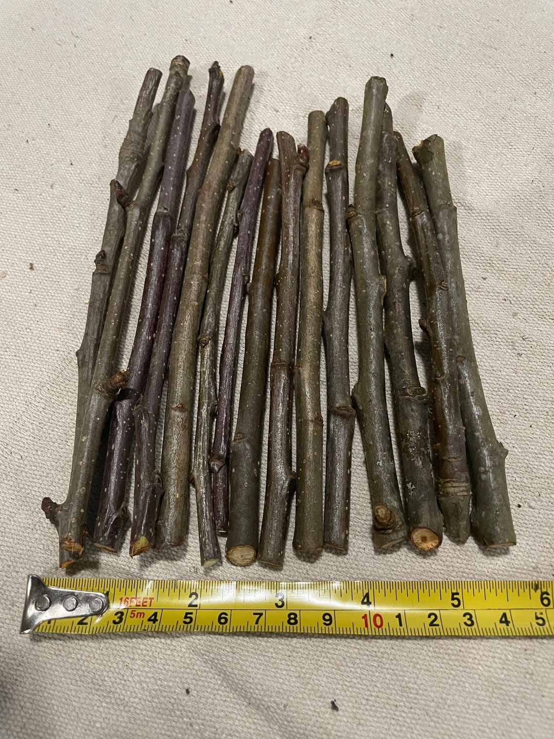 Organic Washington Apple & Plum Tree Wood Sticks Twigs Fresh Natural ...