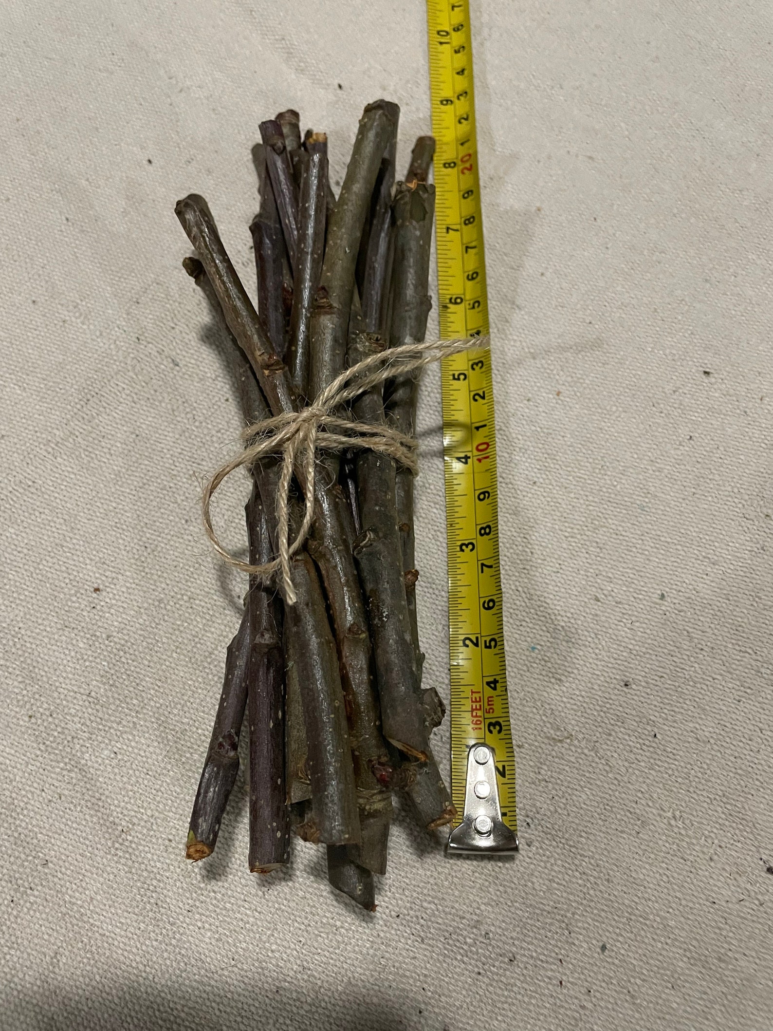 Organic Washington Apple & Plum Tree Wood Sticks Twigs Fresh Natural ...