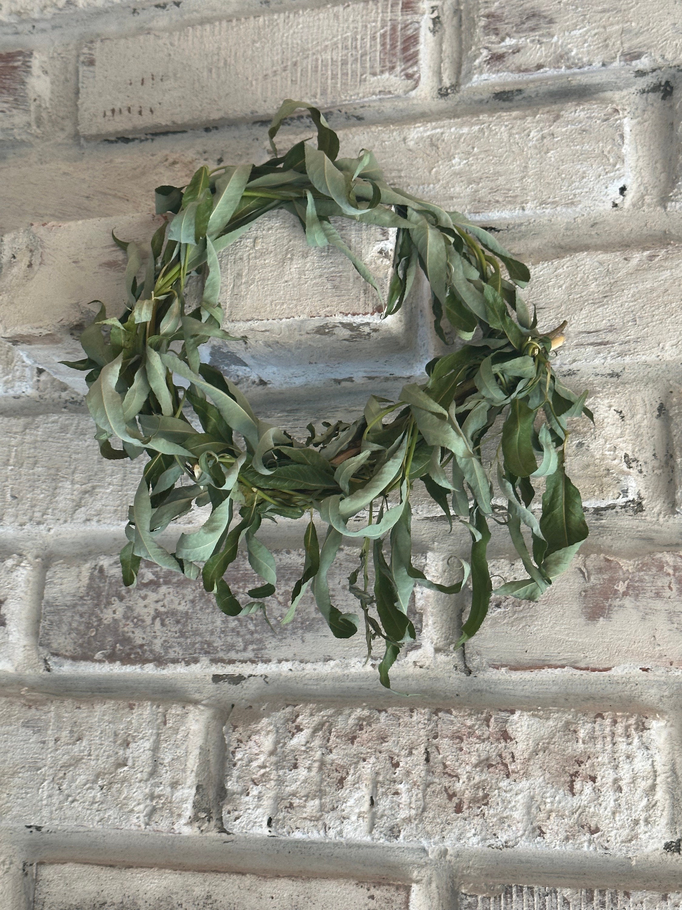 Organic Weeping Willow Wreaths Bunny Rabbit Food Pet Treat Branches ...