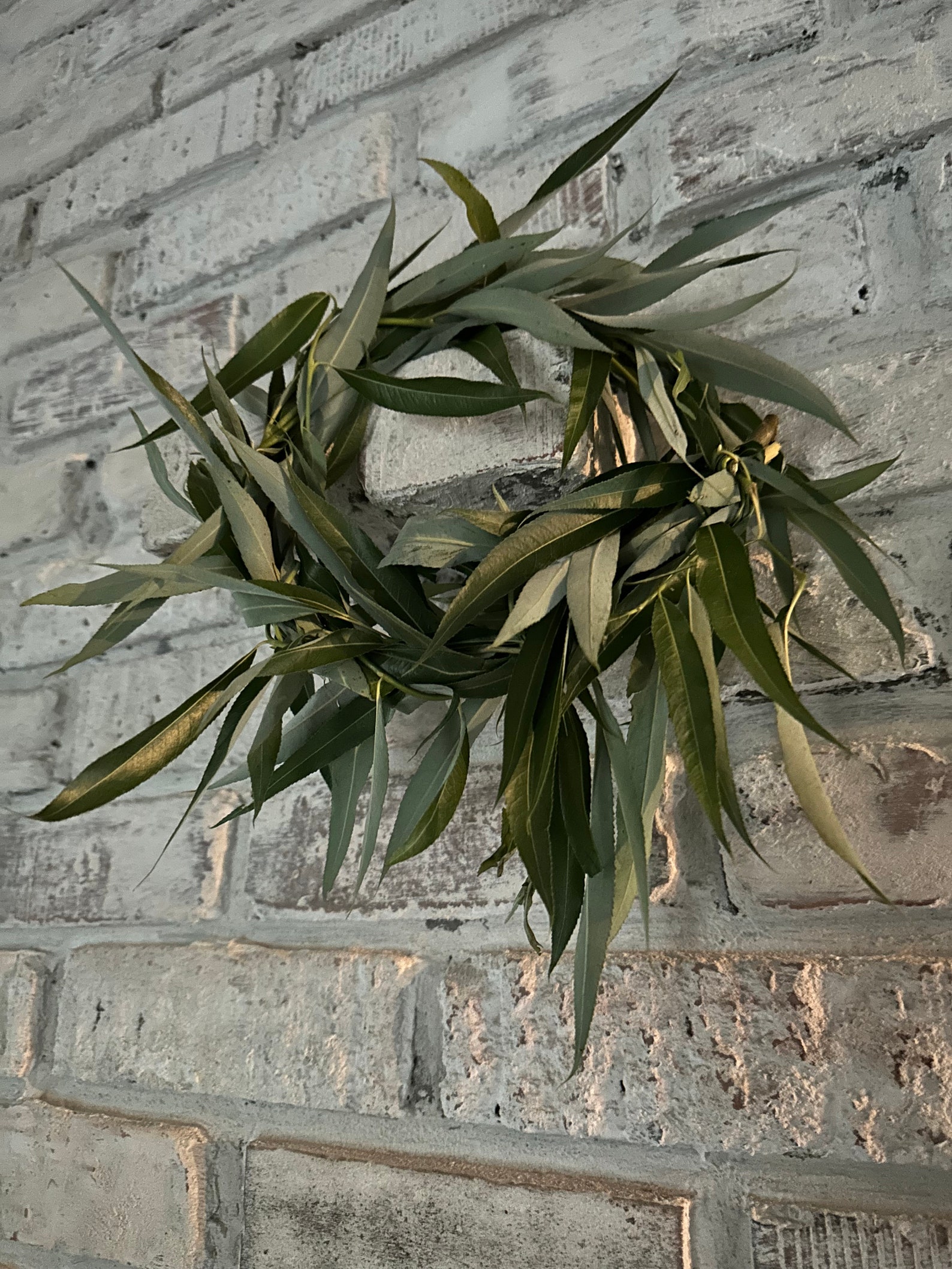 Organic Weeping Willow Wreaths Bunny Rabbit Food Pet Treat Branches ...