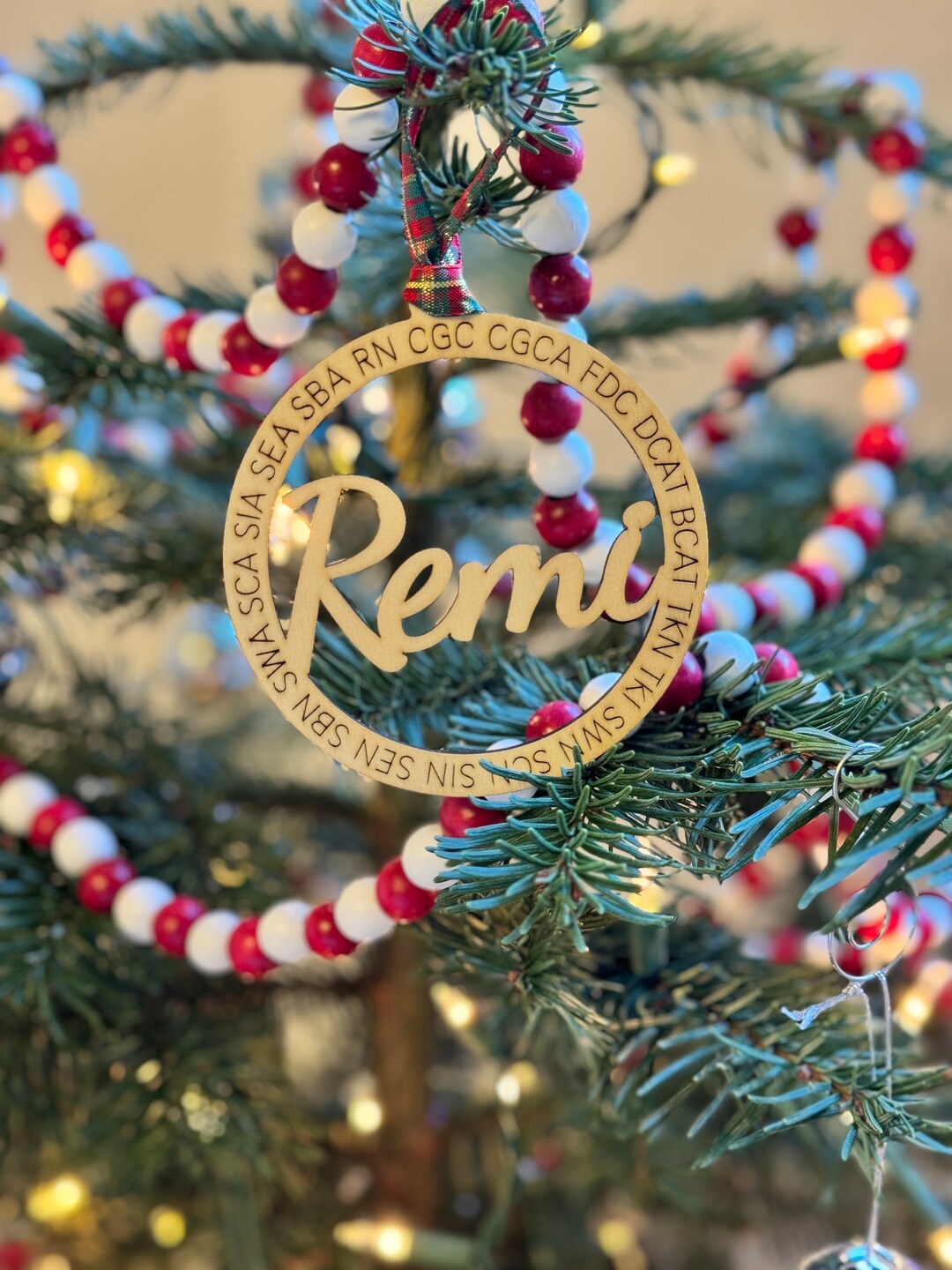 Personalized Title Ornament | Nose Work | Rally | Scent Work | CGC ...