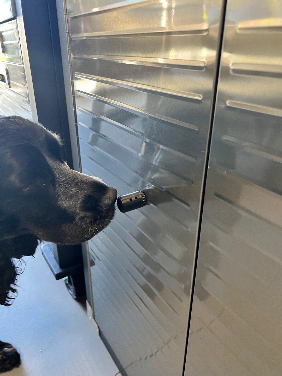 Magnetic Cylinder Scent Vessel: Dog Nose Work Training - Etsy