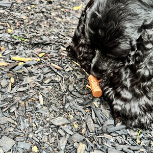 3D Printed Wood Twig Scent Vessel: Dog Nose Work - Etsy