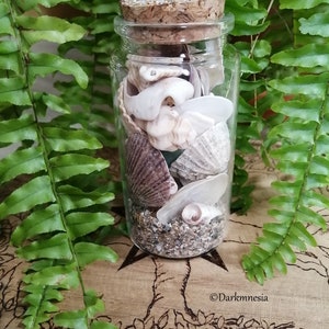 Large Shell Jar, Altar, Sea Witch, Wicca, Shell, Sand, Polished Glass ...