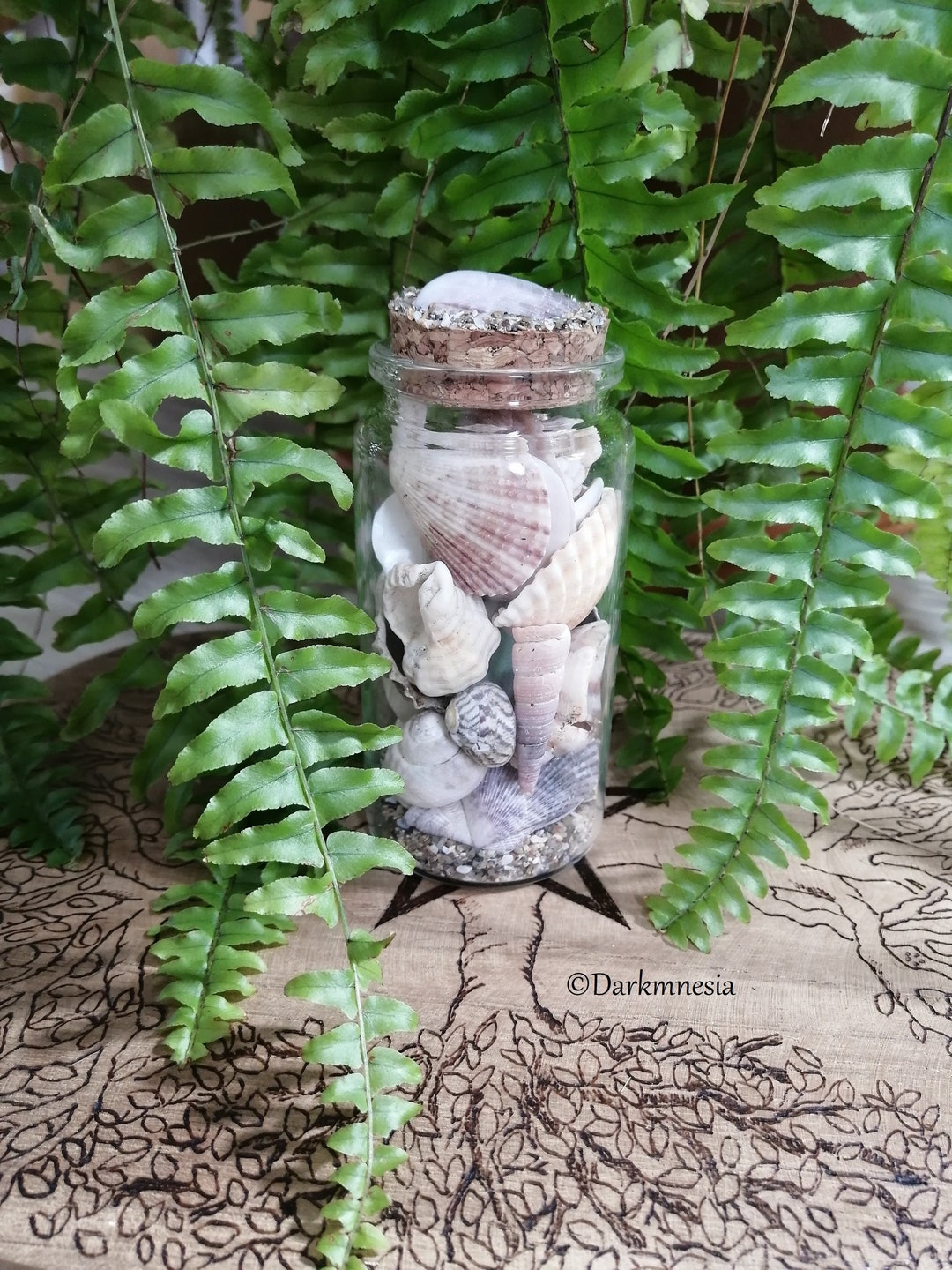 Large Shell Jar, Altar, Sea Witch, Wicca, Shell, Sand, Polished Glass ...