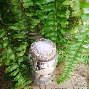 Large Shell Jar, Altar, Sea Witch, Wicca, Shell, Sand, Polished Glass ...