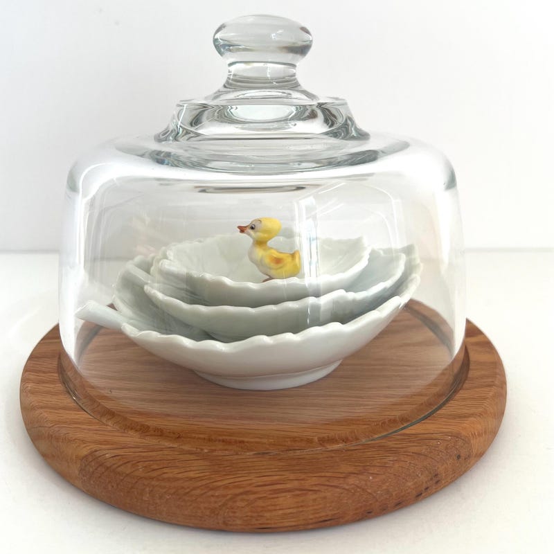 Cheese Cloche - Etsy