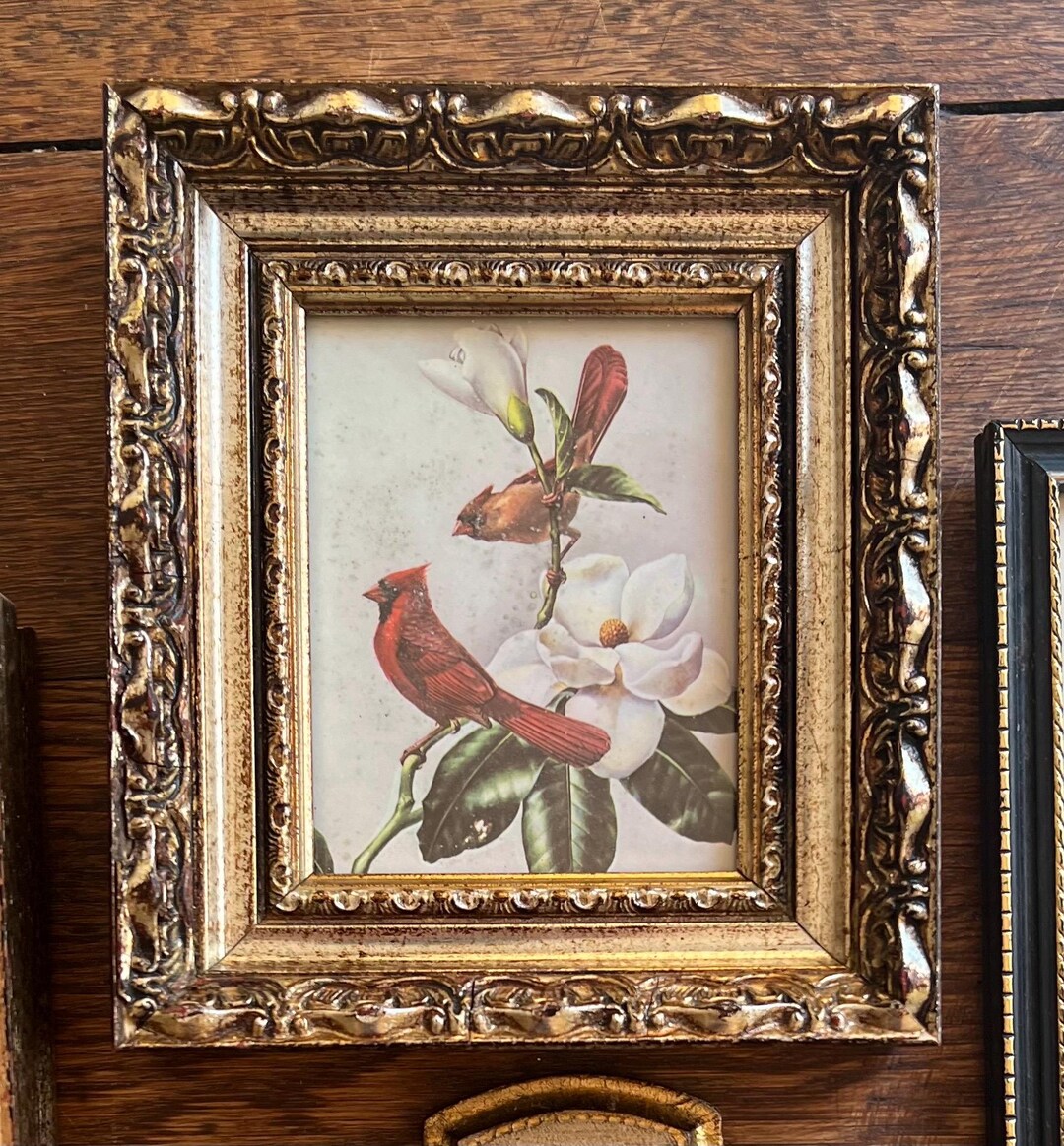 Vintage Cardinal Picture Male and Female Cardinals in a Dogwood Tree ...