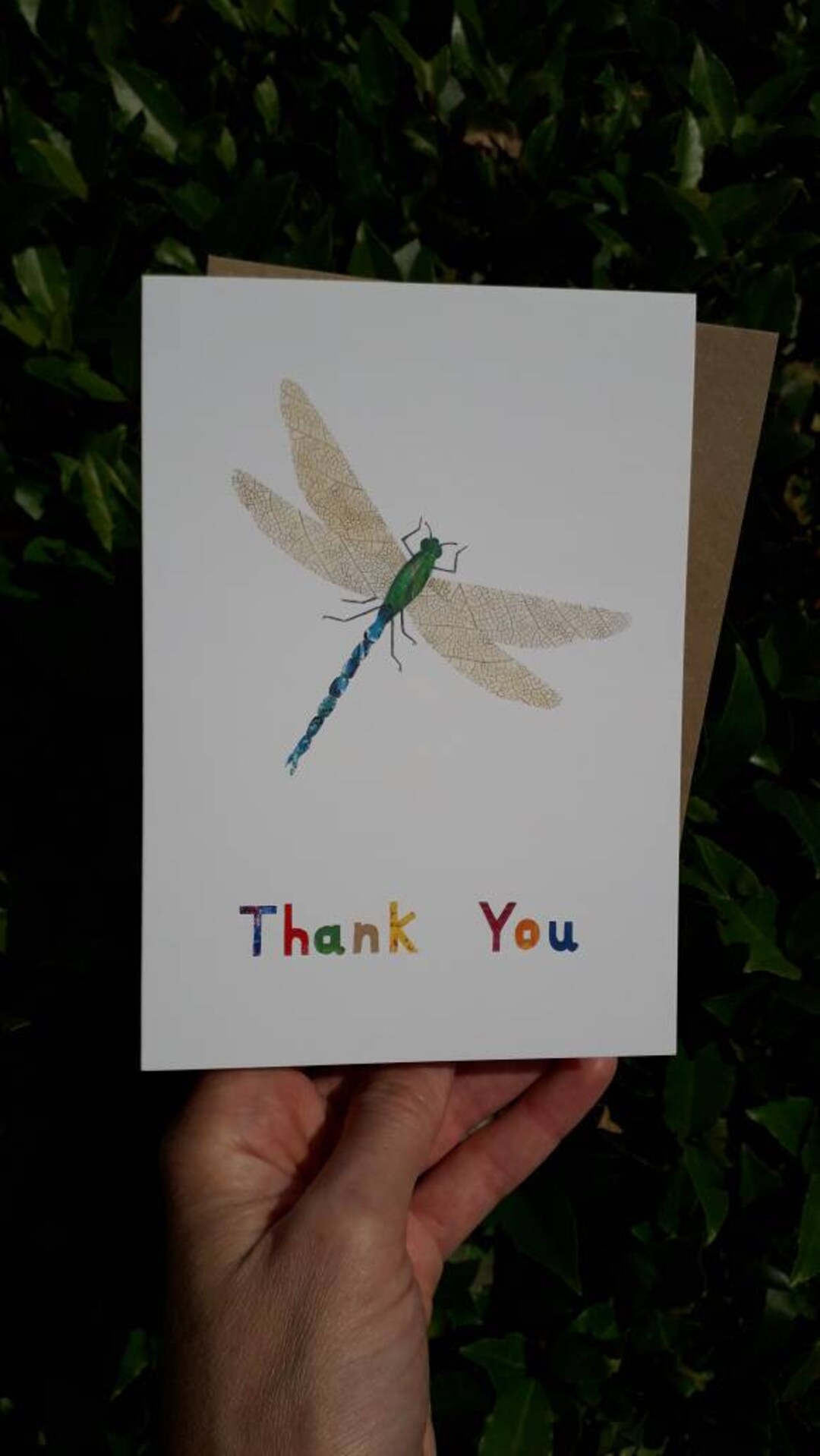 Dragonfly Thank You Cards Thank You Card Set Insect Thank You Cards ...