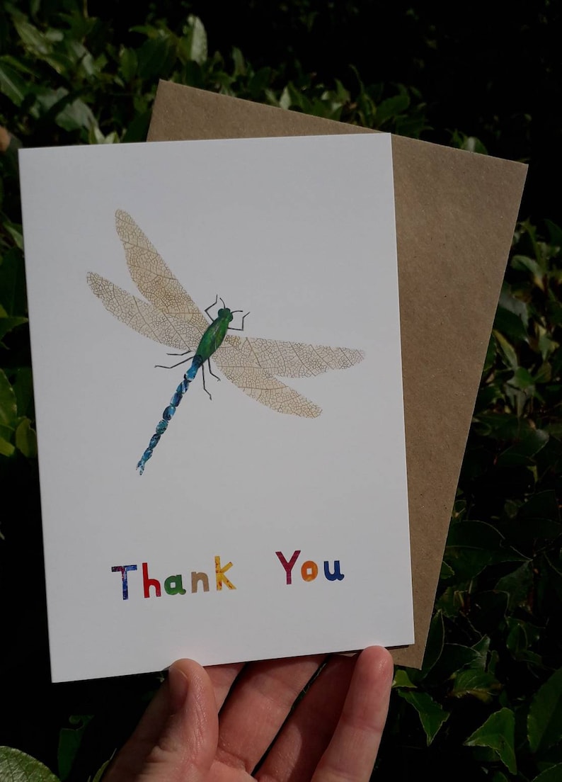 Dragonfly Thank You Cards Thank You Card Set Insect Thank - Etsy