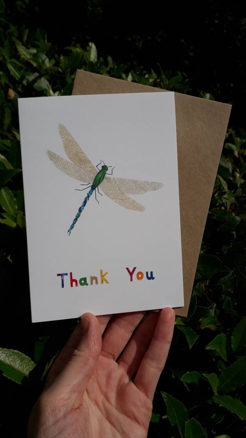 Dragonfly Thank You Cards Thank You Card Set Insect Thank - Etsy
