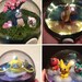 Build Your Own Pokeball Terrarium Pokemon Nintendo Custom Design Your ...