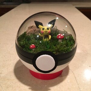 Build Your Own Pokeball Terrarium Pokemon Nintendo Custom Design Your ...