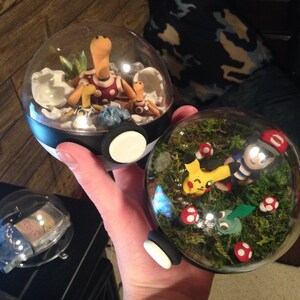 Build Your Own Pokeball Terrarium Pokemon Nintendo Custom Design Your ...