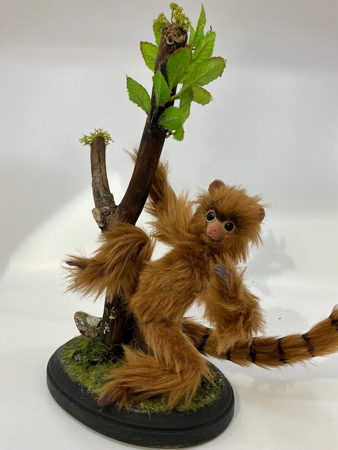Monkey Display Set, No Monkey - Etsy