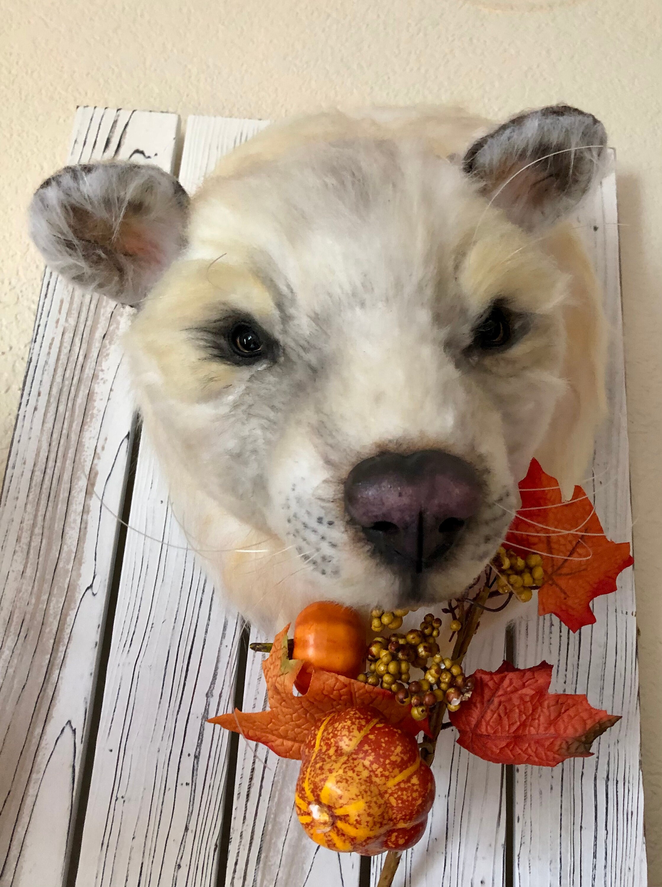 Wall Sculpture Animal Head Home Decor Faux Taxidermy Made to Order - Etsy