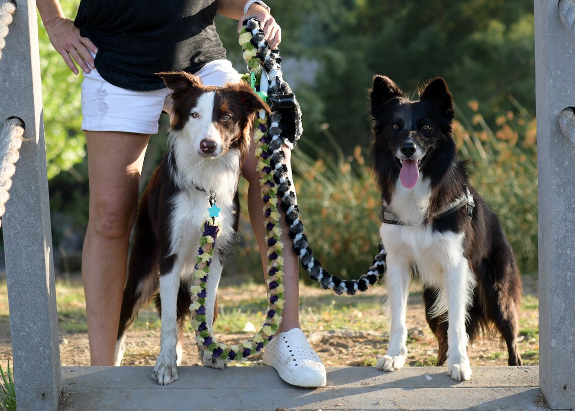 Custom Handmade Fleece and Minky Dog Leash - Etsy