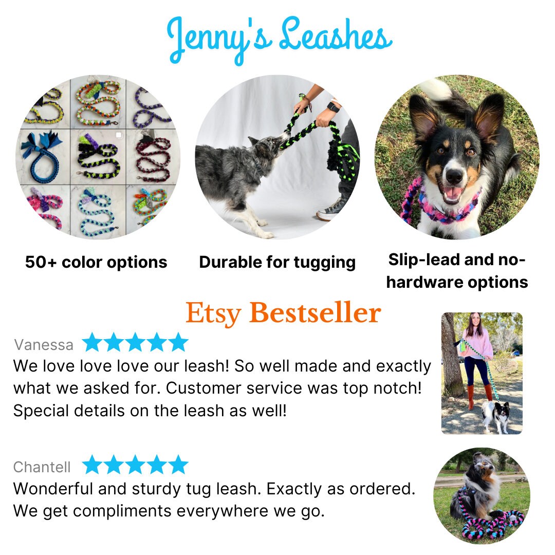 Custom Handmade Fleece and Minky Dog Leash - Etsy