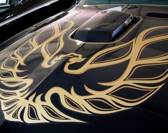 Trans Am Decal - Etsy