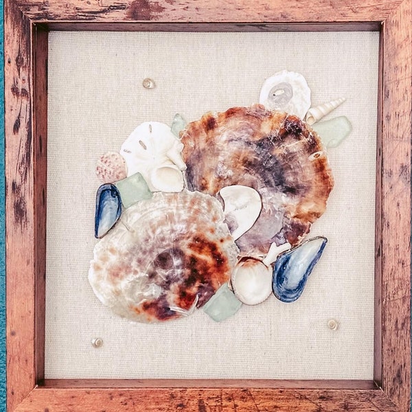 Unique Seashell Art Sea Shell Home Decor Beach Home Decor Coastal Decor ...