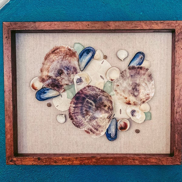 Sea Shell Home Decor - Etsy