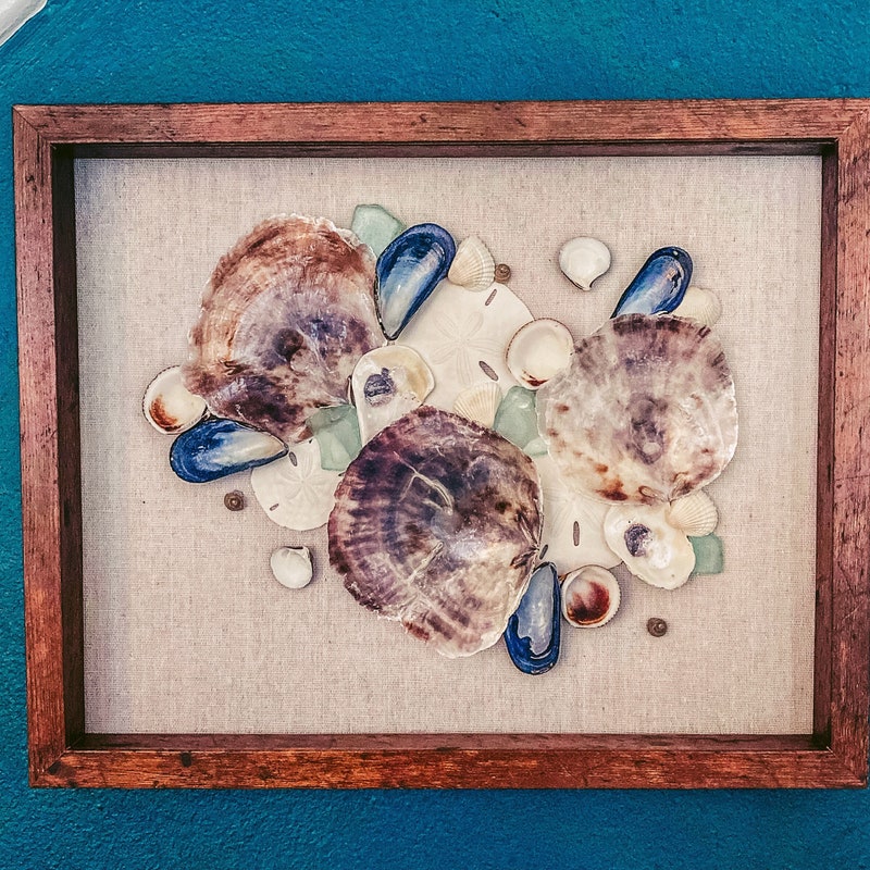 Sea Shell Home Decor - Etsy