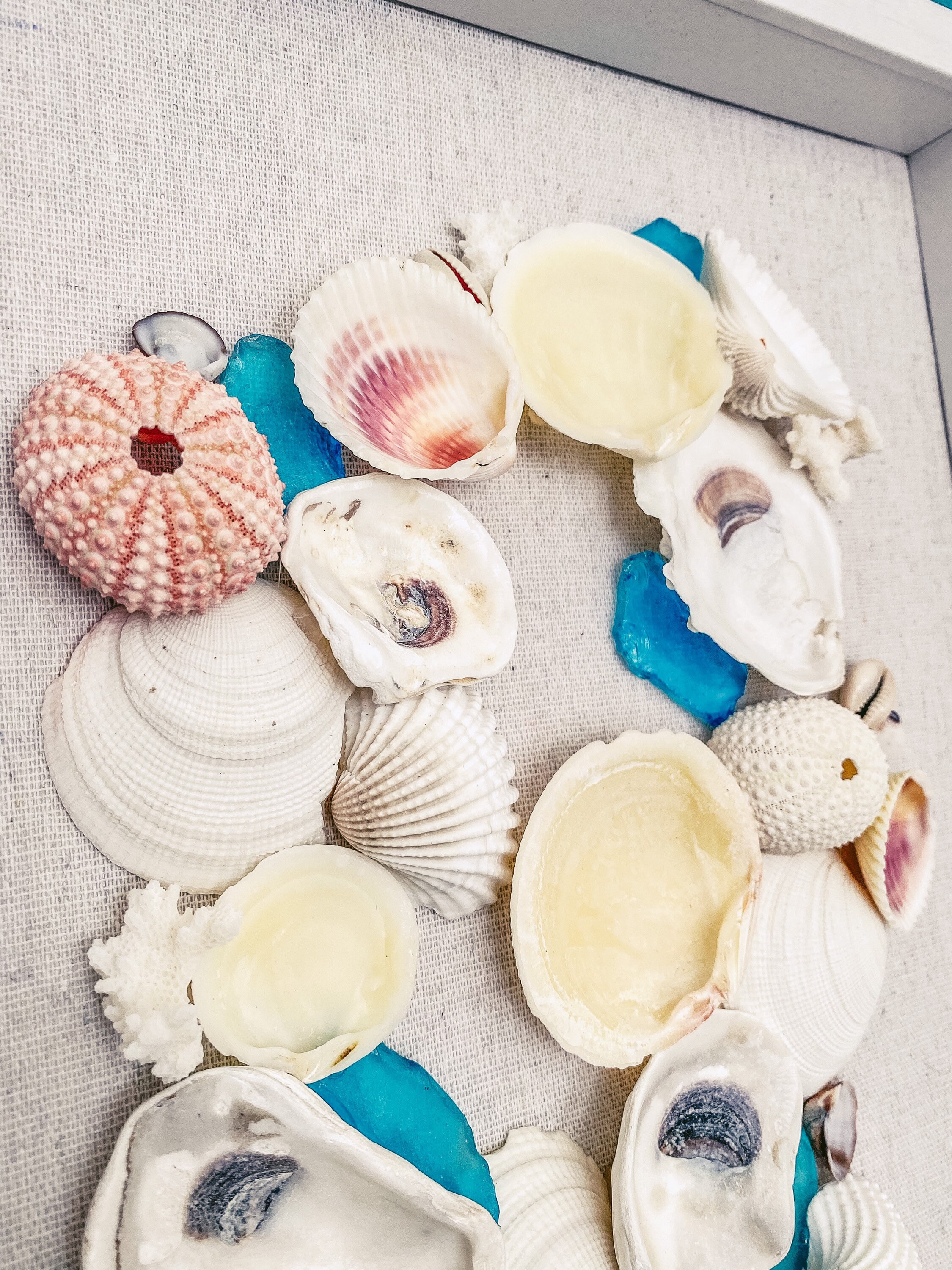 Unique Seashell Art Sea Shell Home Decor Beach Home Decor Coastal Decor ...