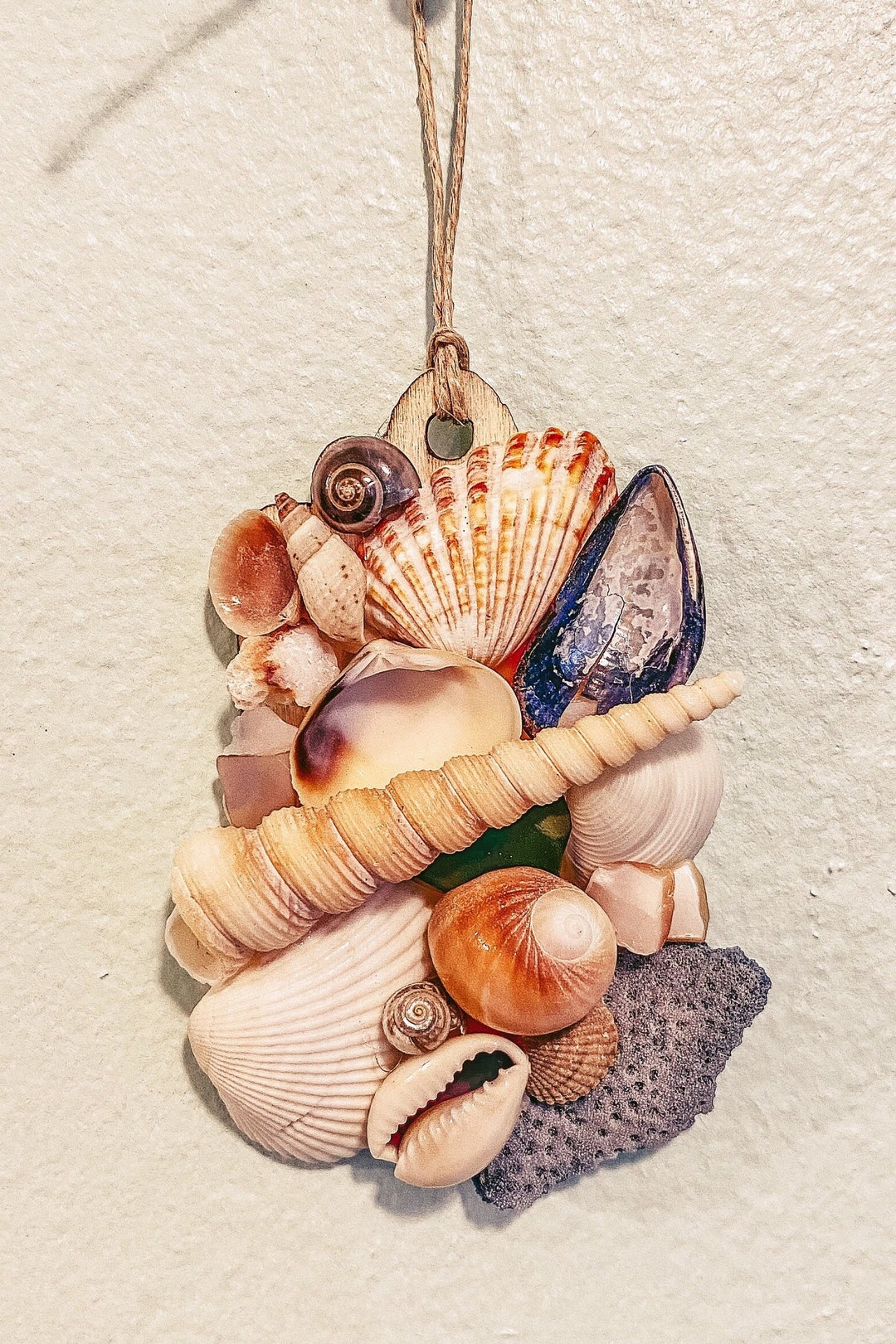 Unique Seashell Ornament Seashell Home Decor Beach Home Decor Coastal ...