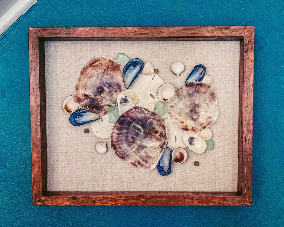 Unique Seashell Art | Sea Shell Home Decor | Beach Home Decor | Coastal ...