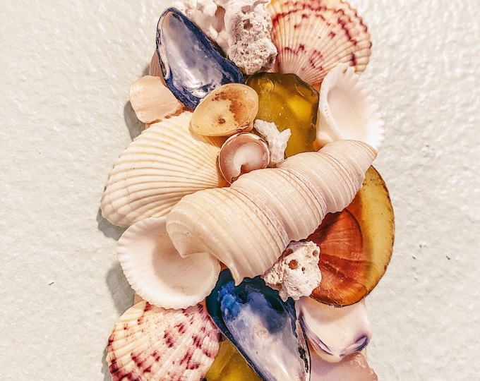 Bring the Beach Inside! Seashell Home Decor - Etsy Canada