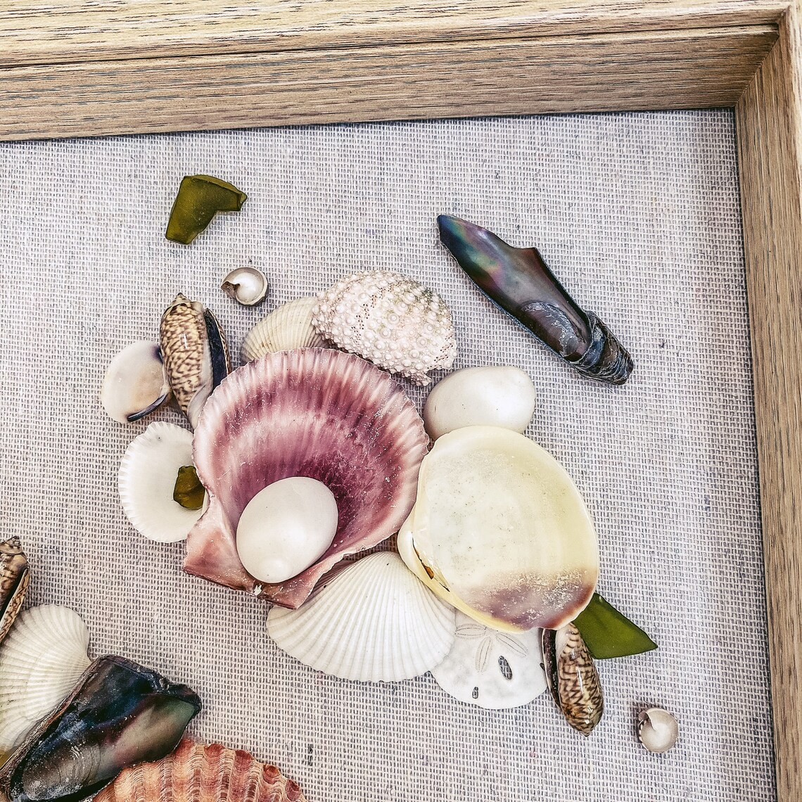 Unique Seashell Art Sea Shell Home Decor Beach Home Decor Coastal Decor ...