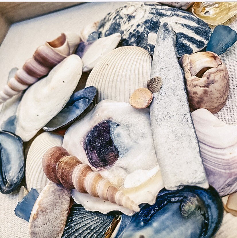 Unique Seashell Art Sea Shell Home Decor Beach Home Decor - Etsy