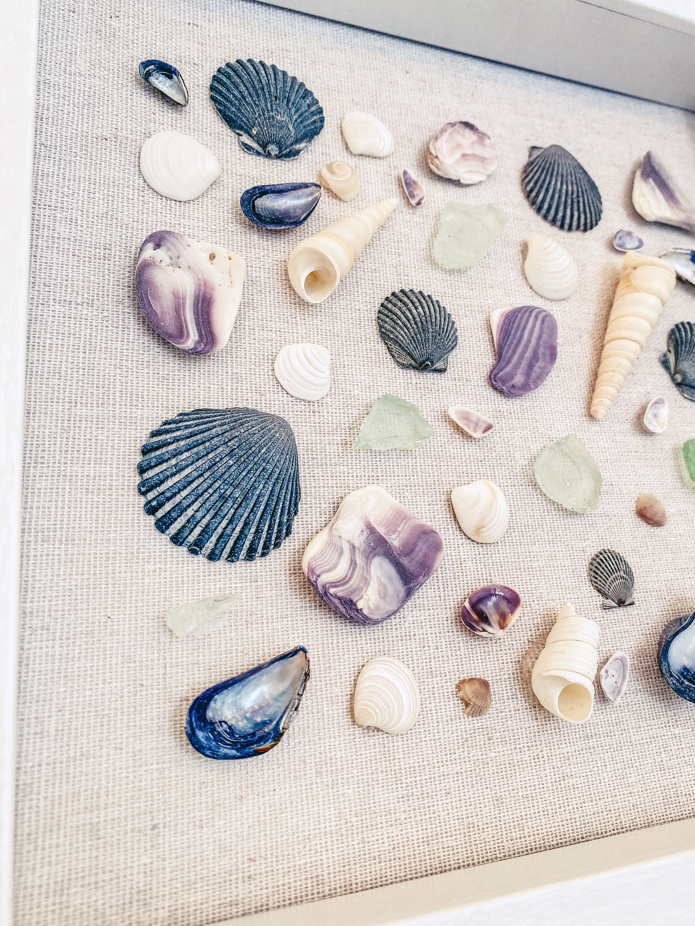 Unique Seashell Art Sea Shell Home Decor Beach Home Decor - Etsy