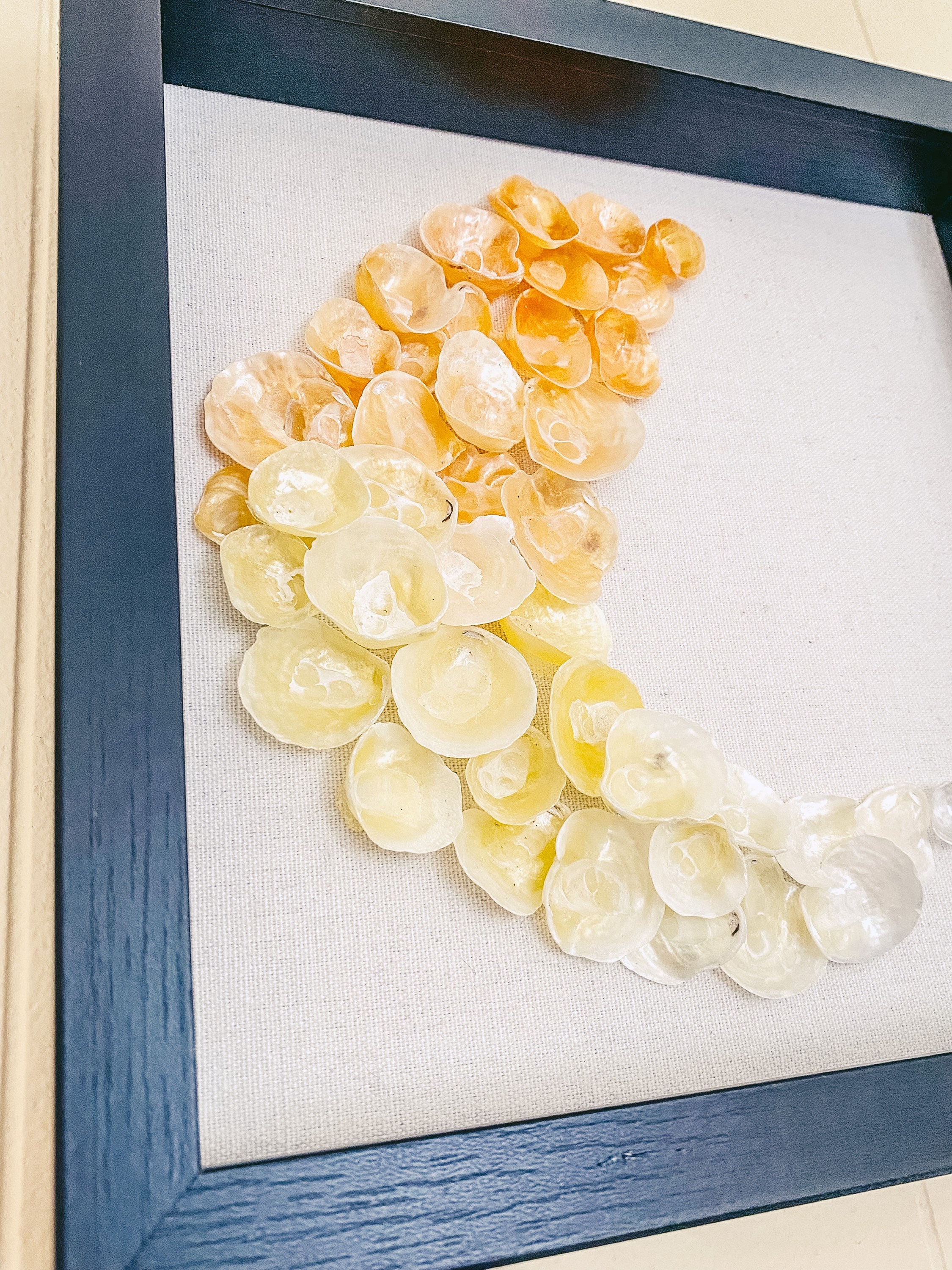 Unique Seashell Art Sea Shell Home Decor Beach Home Decor - Etsy