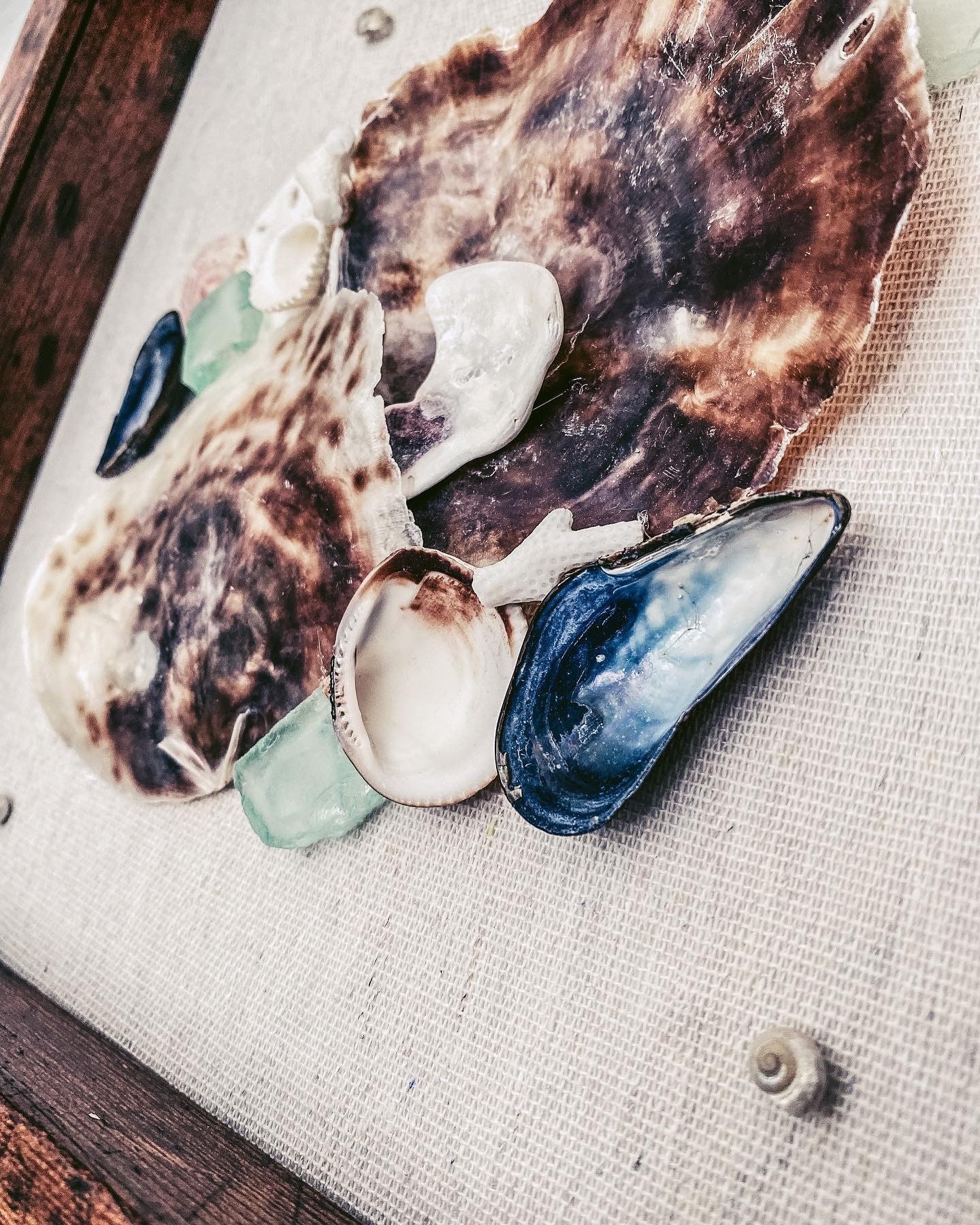 Unique Seashell Art Sea Shell Home Decor Beach Home Decor - Etsy