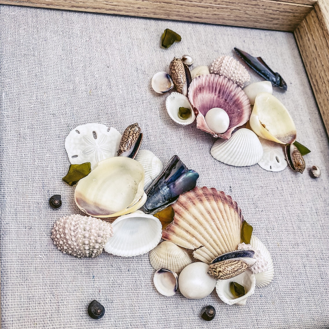 Unique Seashell Art Sea Shell Home Decor Beach Home Decor Coastal Decor ...