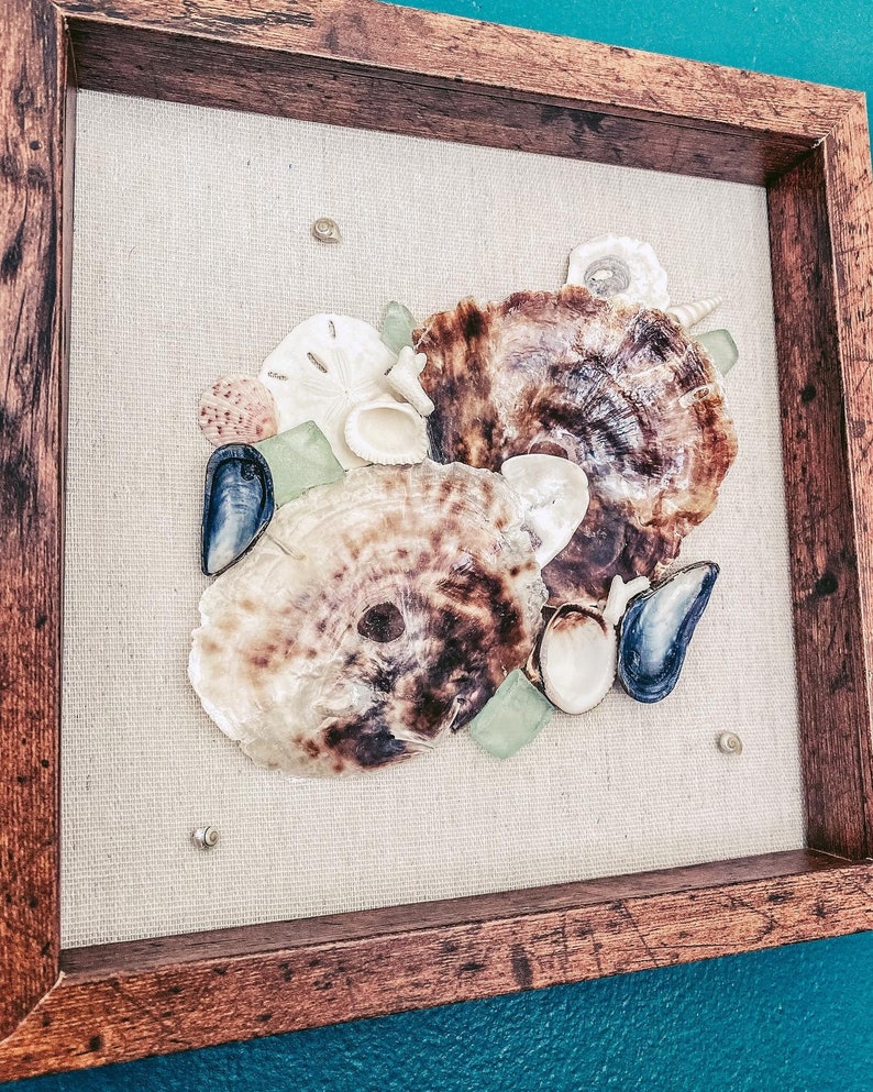 Unique Seashell Art Sea Shell Home Decor Beach Home Decor - Etsy