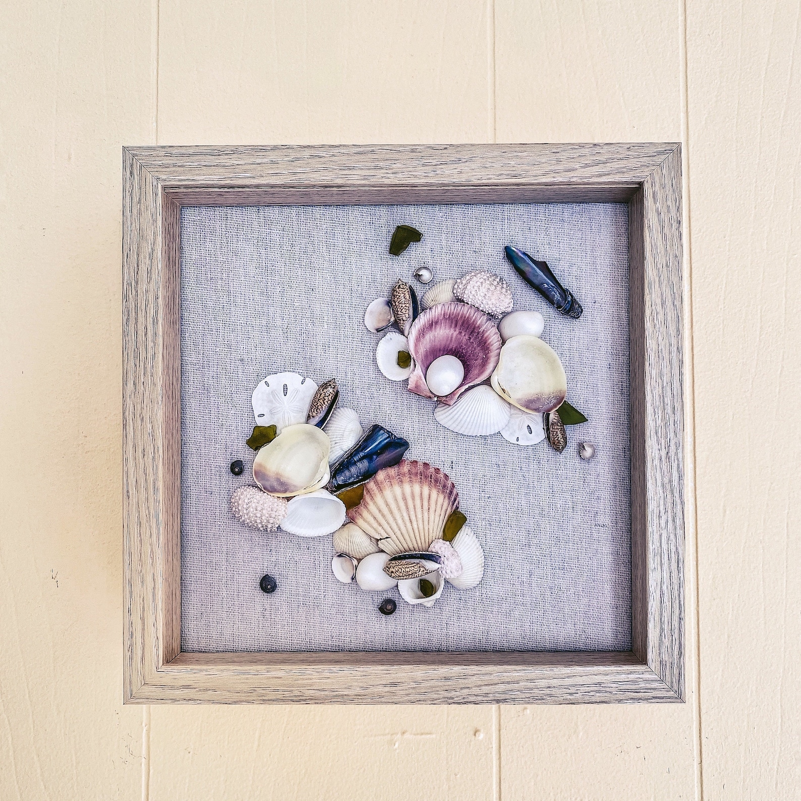 Unique Seashell Art Sea Shell Home Decor Beach Home Decor Coastal Decor ...