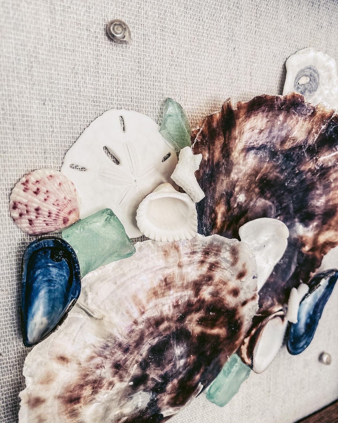 Unique Seashell Art Sea Shell Home Decor Beach Home Decor - Etsy