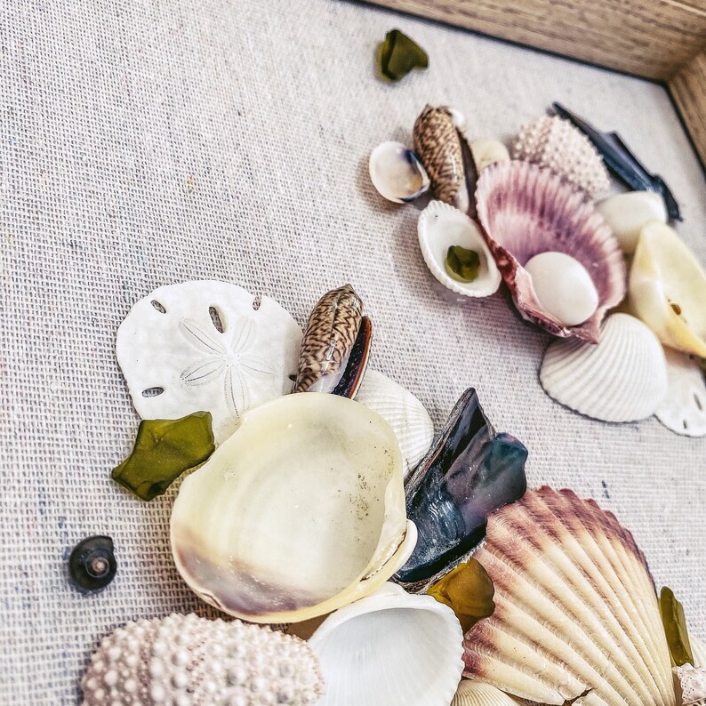 Unique Seashell Art Sea Shell Home Decor Beach Home Decor Coastal Decor ...