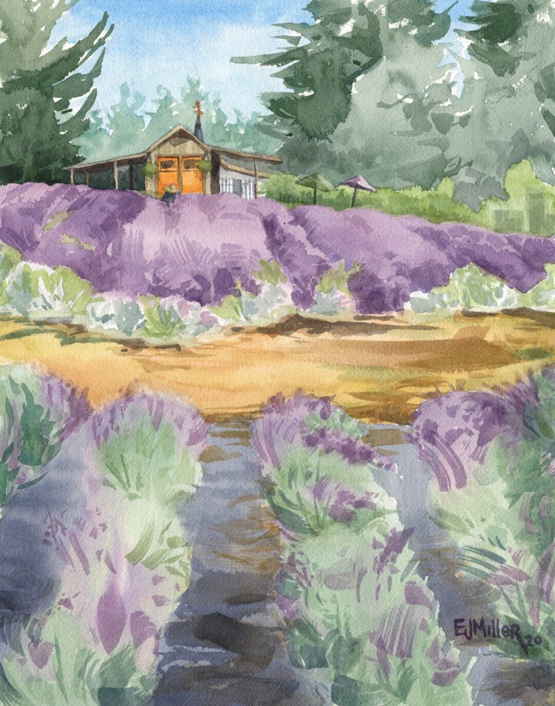 Oregon Lavender Art Print, Purple Lavender Fields Painting, Lavender ...
