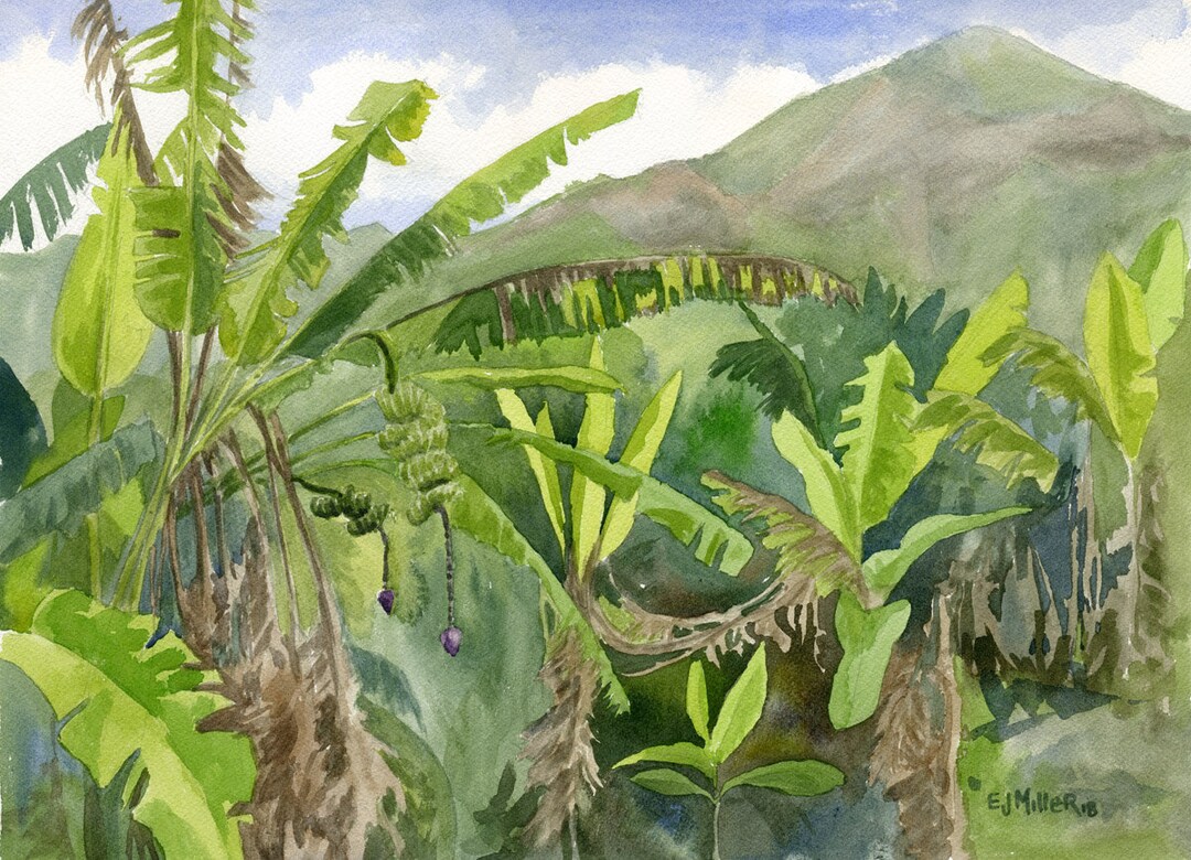 Tropical Junge Kauai Art Print : 8x10" Banana Patch Kauai Watercolor ...