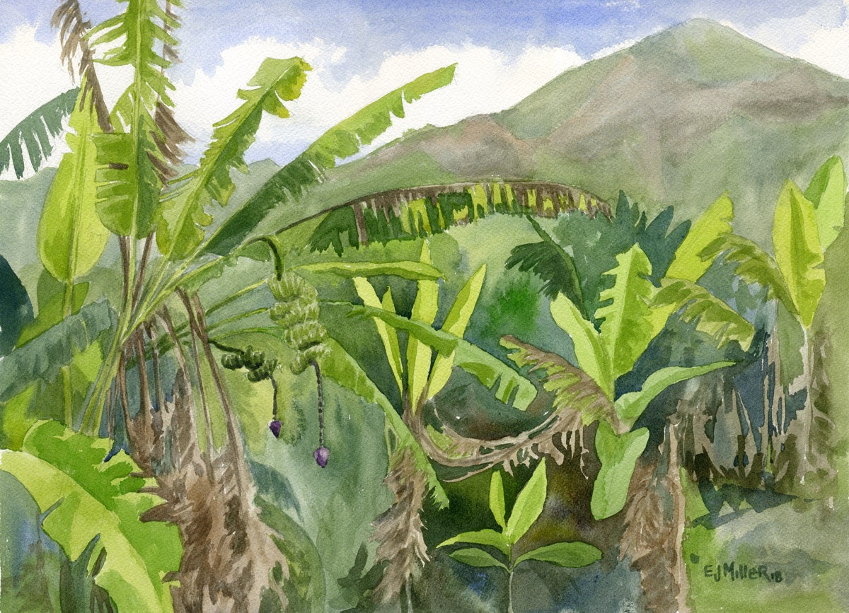 Tropical Junge Kauai Art Print : 8x10 Banana Patch Kauai Watercolor ...