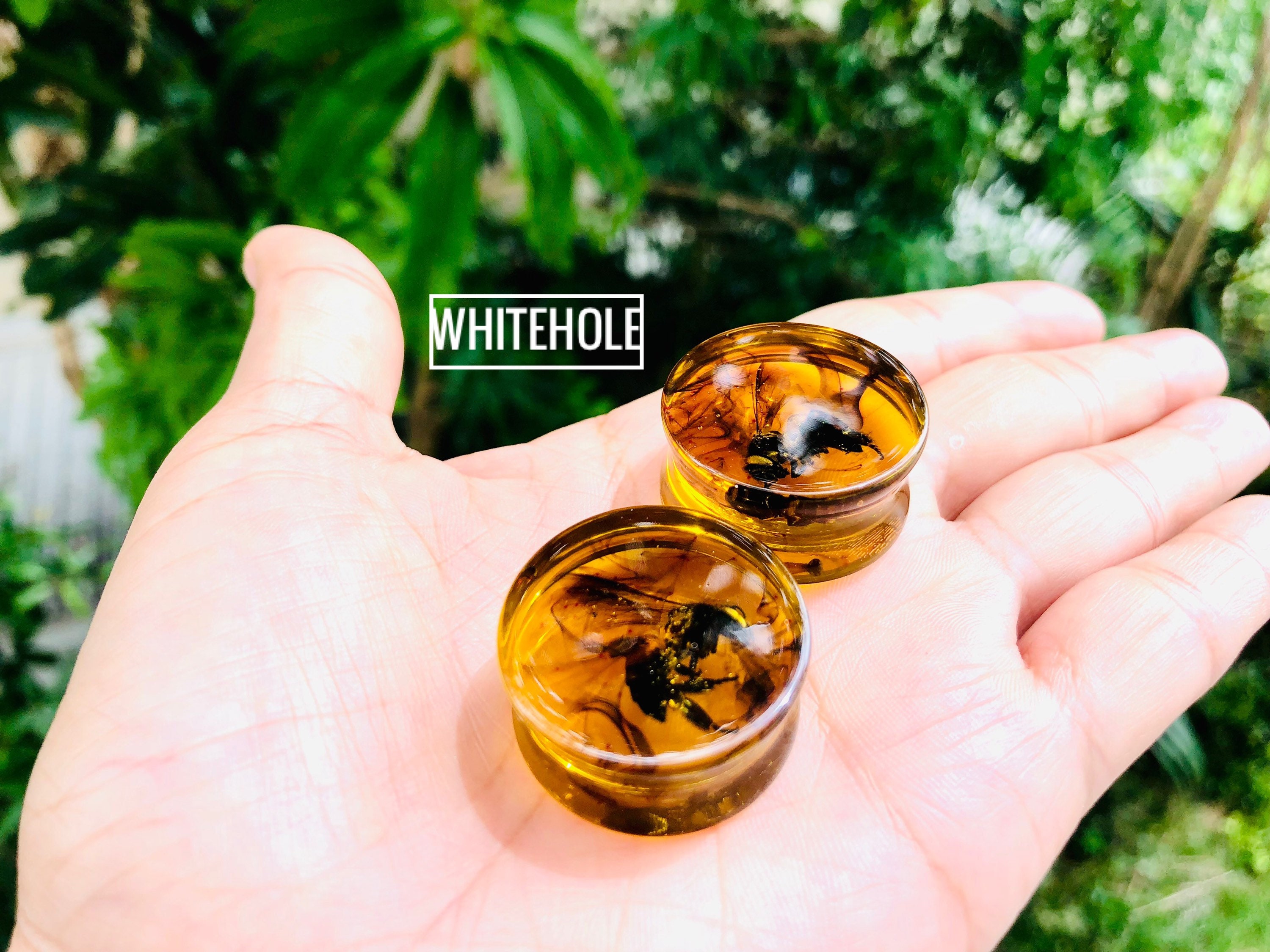 Plugsamber Color/real Beeplugs Custom/plugs Smoke/plugs - Etsy