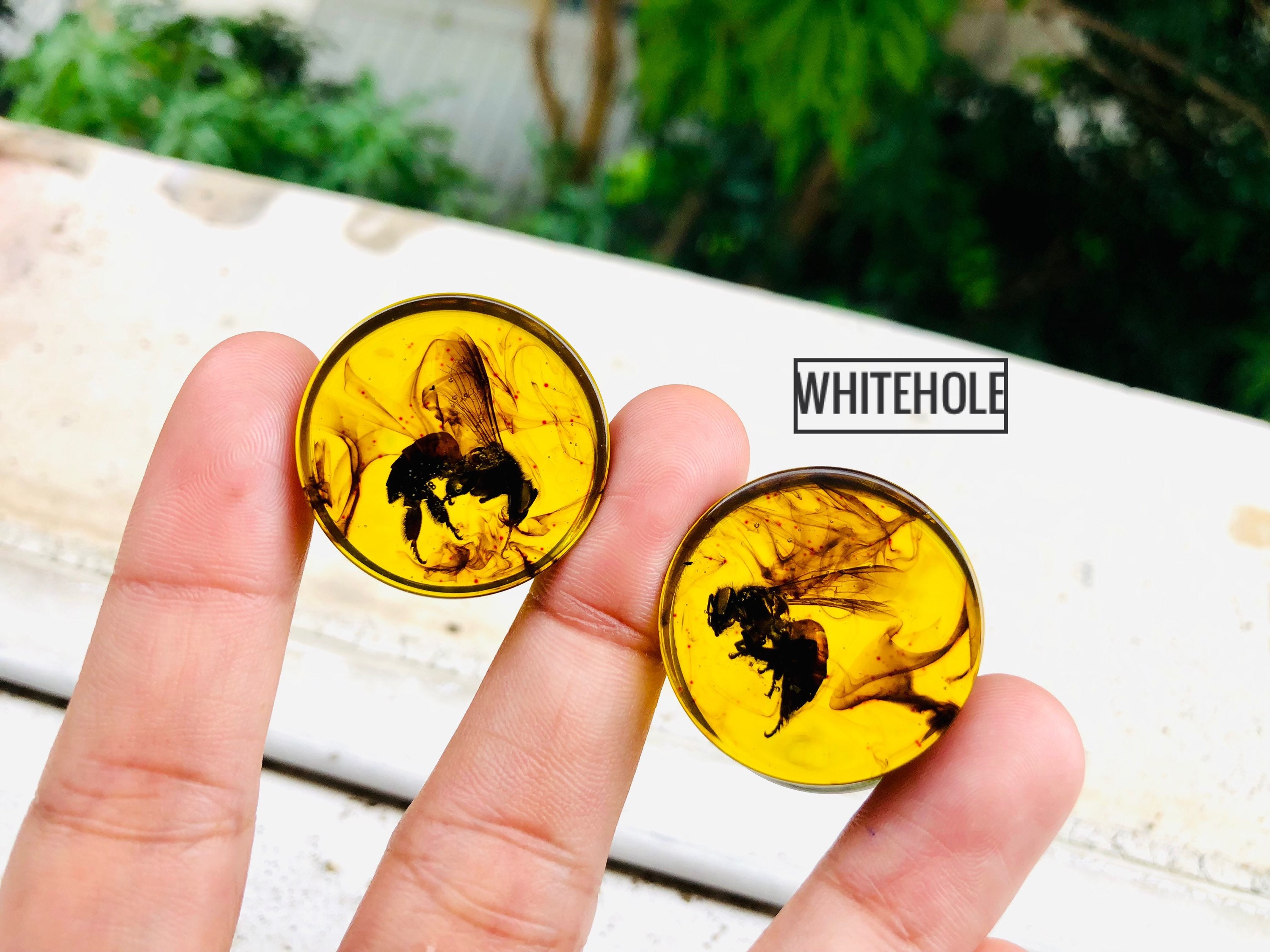 Plugsamber Color/real Beeplugs Custom/plugs Smoke/plugs - Etsy