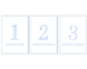 Printable Set of 12 Baby Boy Scalloped Border Monthly Milestone Cards ...